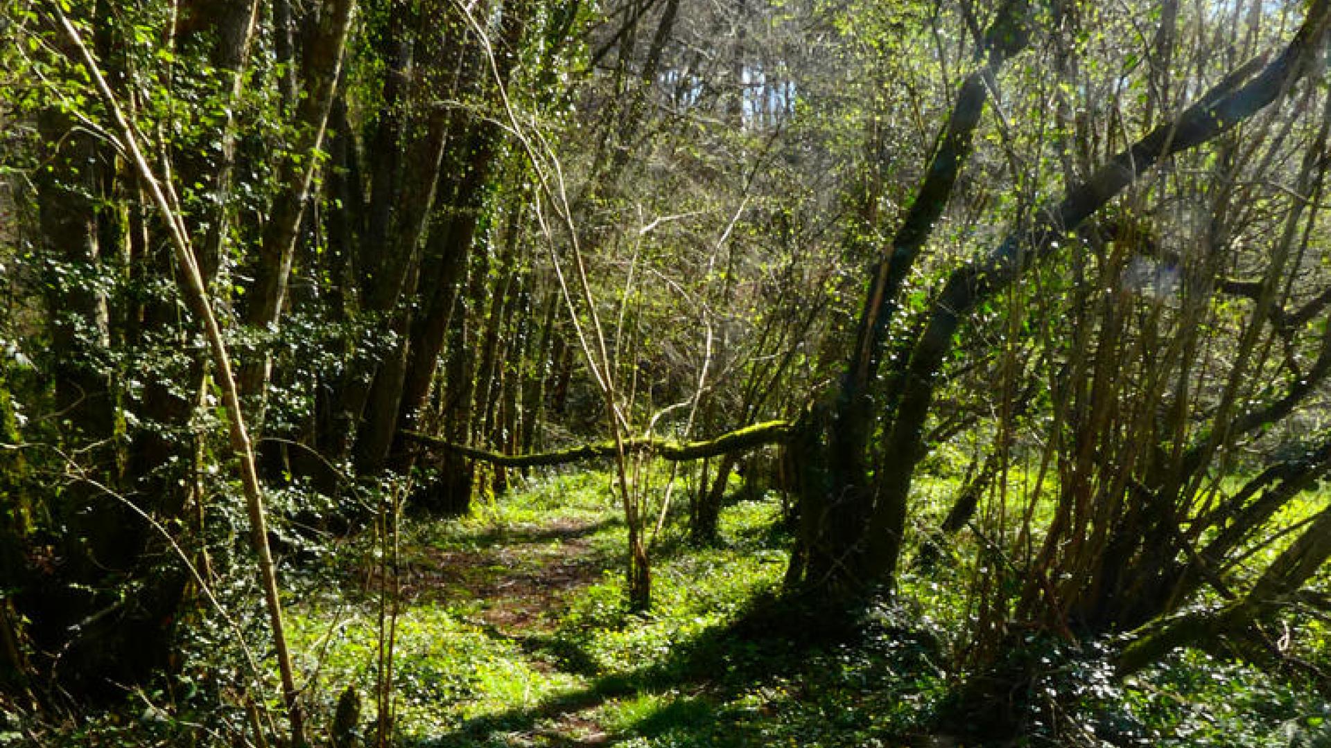 Bienvenue à Beyries - Site de la commune de Beyries